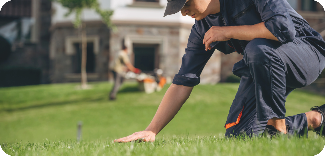 Lawn Maintenance - GW Tree Services